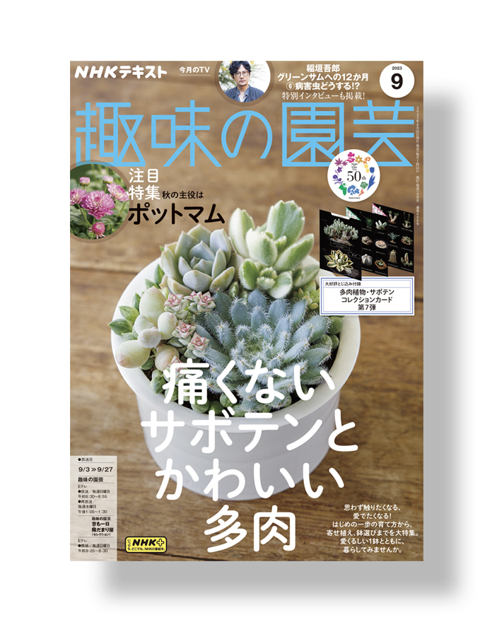 H | Okamoto Issen Graphic Design Co.,Ltd.